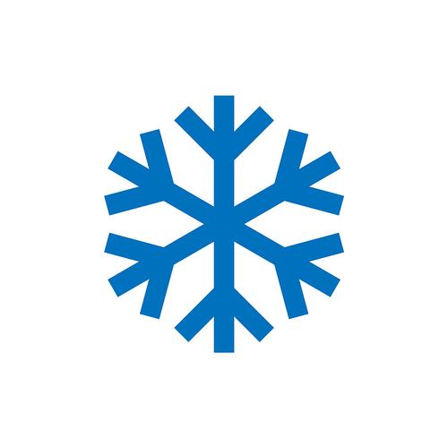高仿雪花辅助正版图标