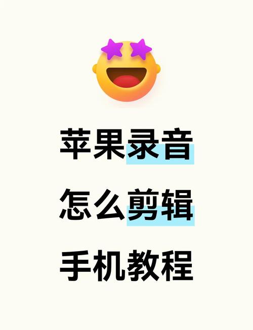 手机怎么植入式远程听录音器提米版截图