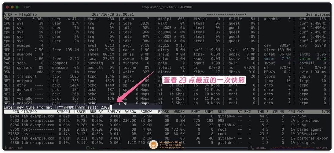 洞悉作弊码