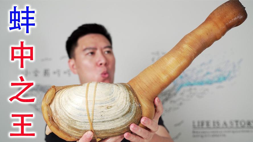 象拔蚌视频图标
