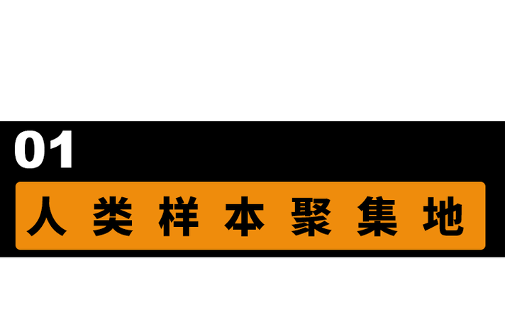 黄篇网站免费下载黑色老版截图