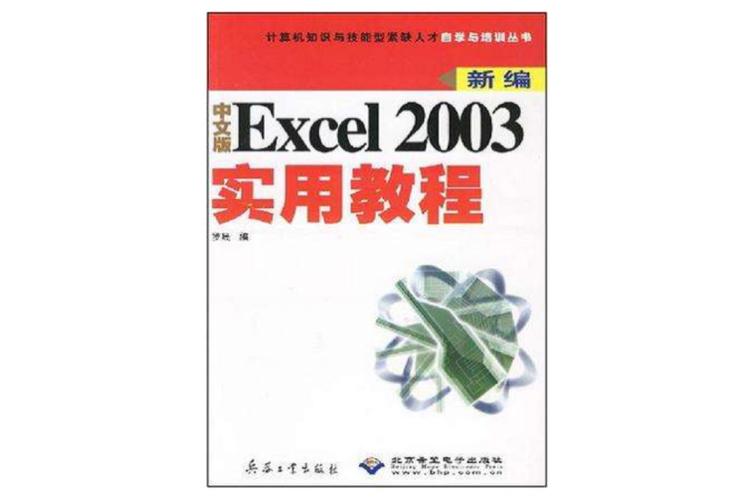 excel2003中文版教程截图