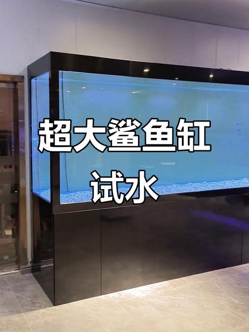 鲨鱼鱼缸图片真实大全图标