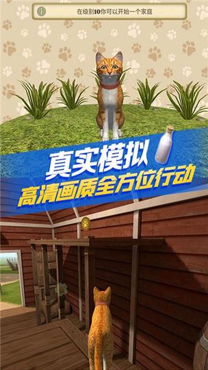 猫咪生存模拟旧版本