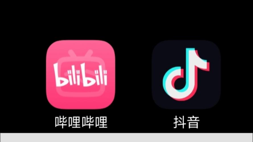 抖音 B站无需付费版截图