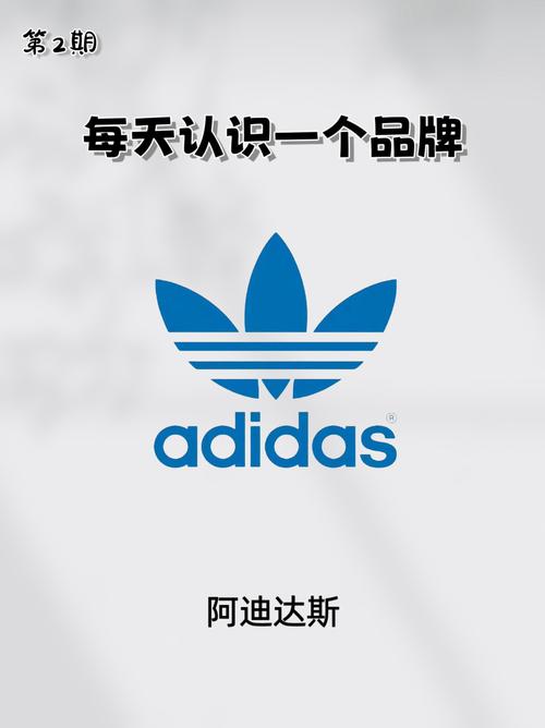 三叶草加速器破解版精简版图标