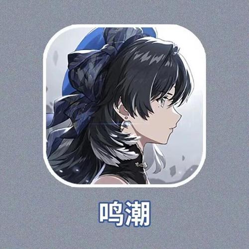 鸣潮破解版手游截图