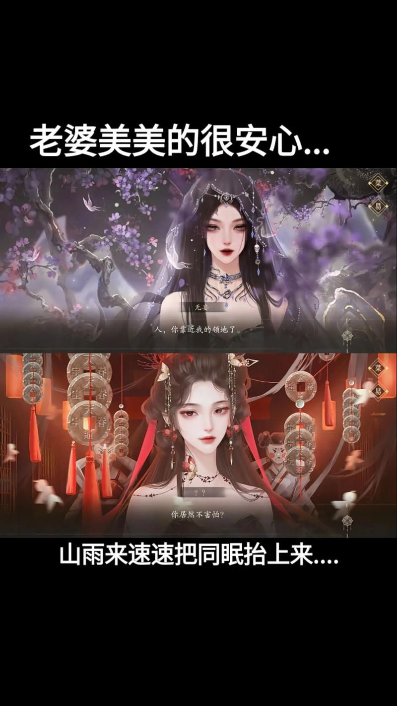 易次元梦人间vip