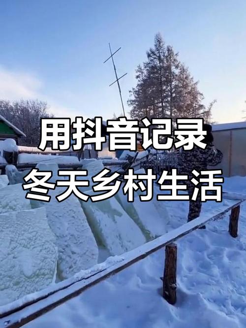 冬日乡村生活汉化版下载图标
