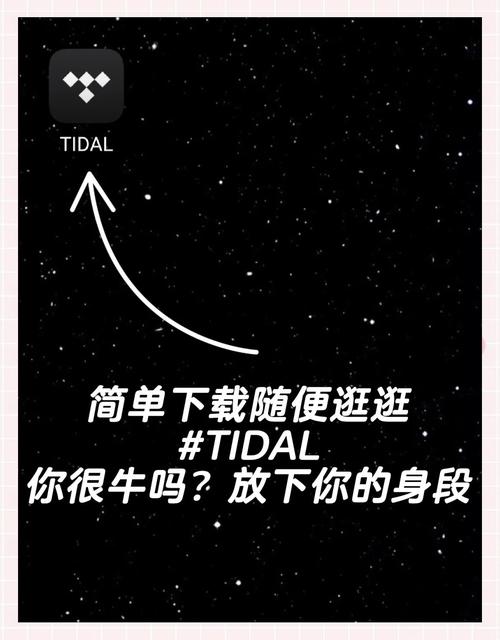 tidal音乐可以到数播吗