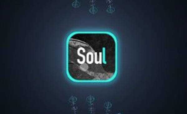 SOUL破解版永久vip图标