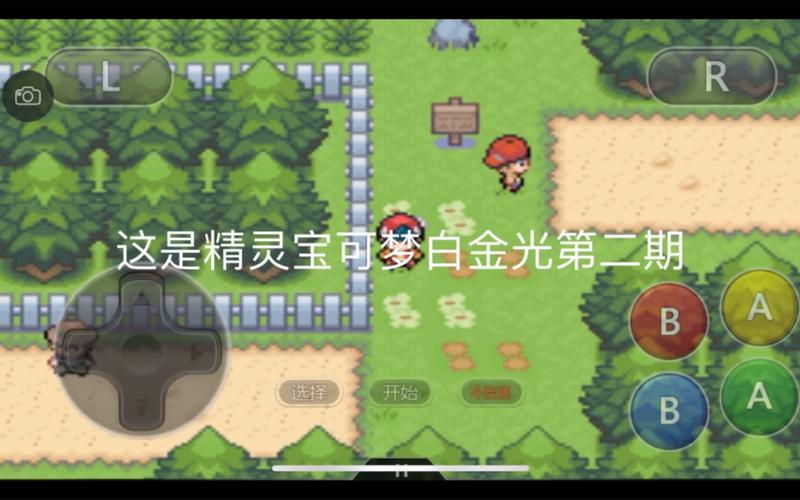 口袋妖怪白金光破解版修改版