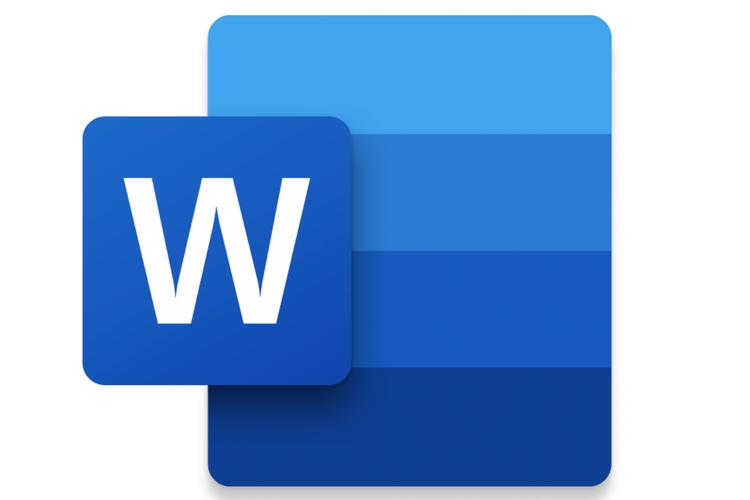 word软件截图