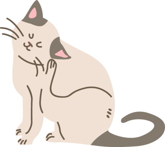 挠脚心的猫搞笑大全截图