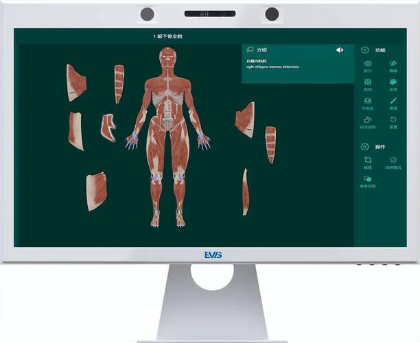 3d人体模拟器手机版图标