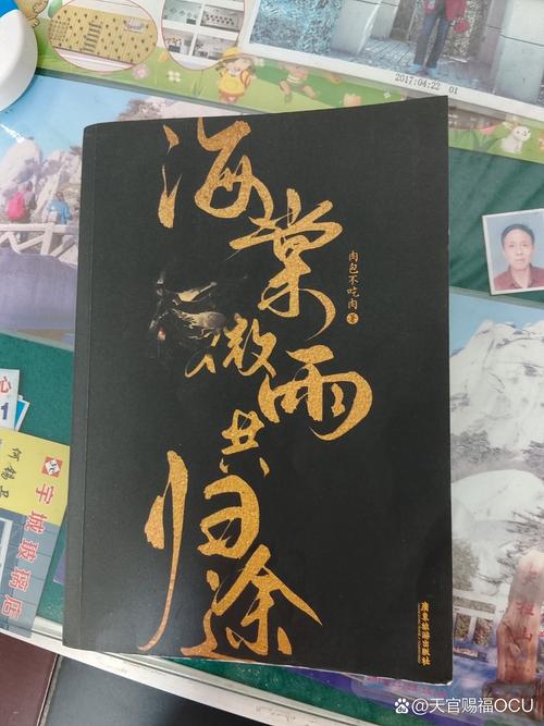 海棠小说网官方版免费版手机正版图标