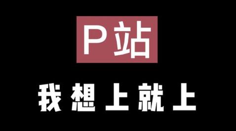 PROBURN破解版黑色老版图标