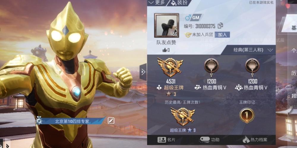 和平精英内测gm服全皮肤下载安装聚合盒子截图