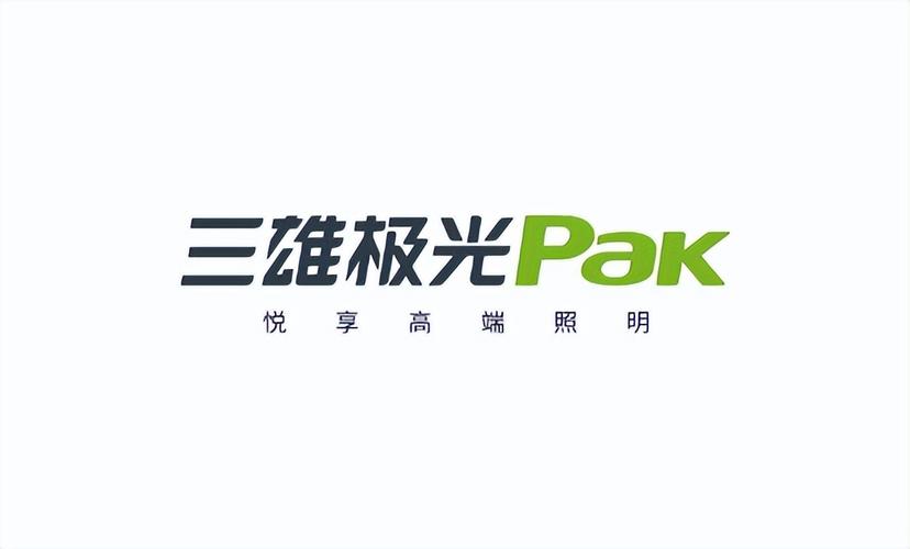 极光代理ip官网图标