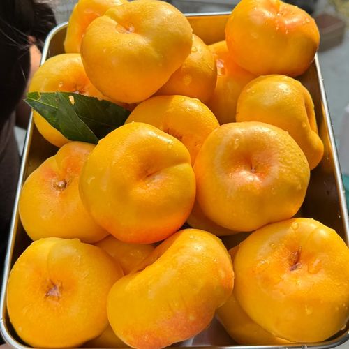 桃子移植100款黄油下载图标