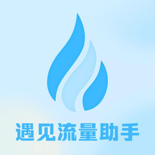 流量助手安装截图