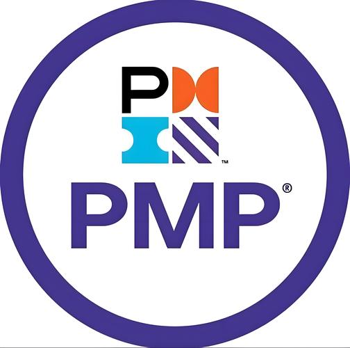 pmp考试是线上还是线下图标