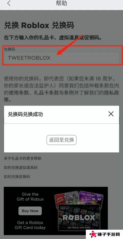 罗布乐思兑换码大全截图