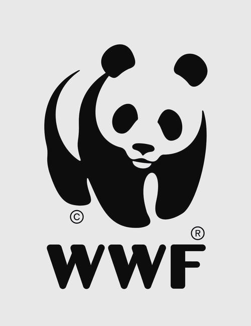 最近很火的熊猫壁纸图标