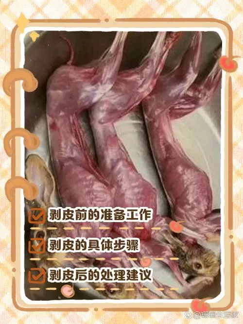 兔子冻过怎么化冻扒皮截图