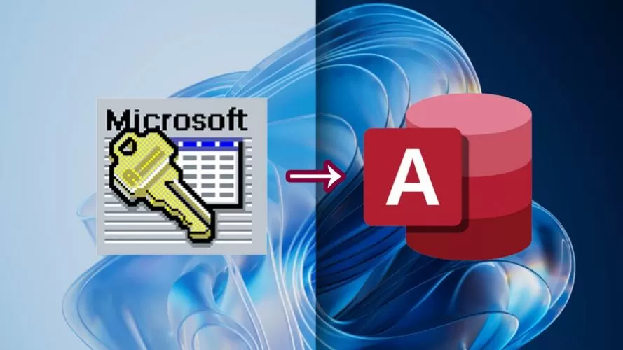 Microsoft Office Access图标