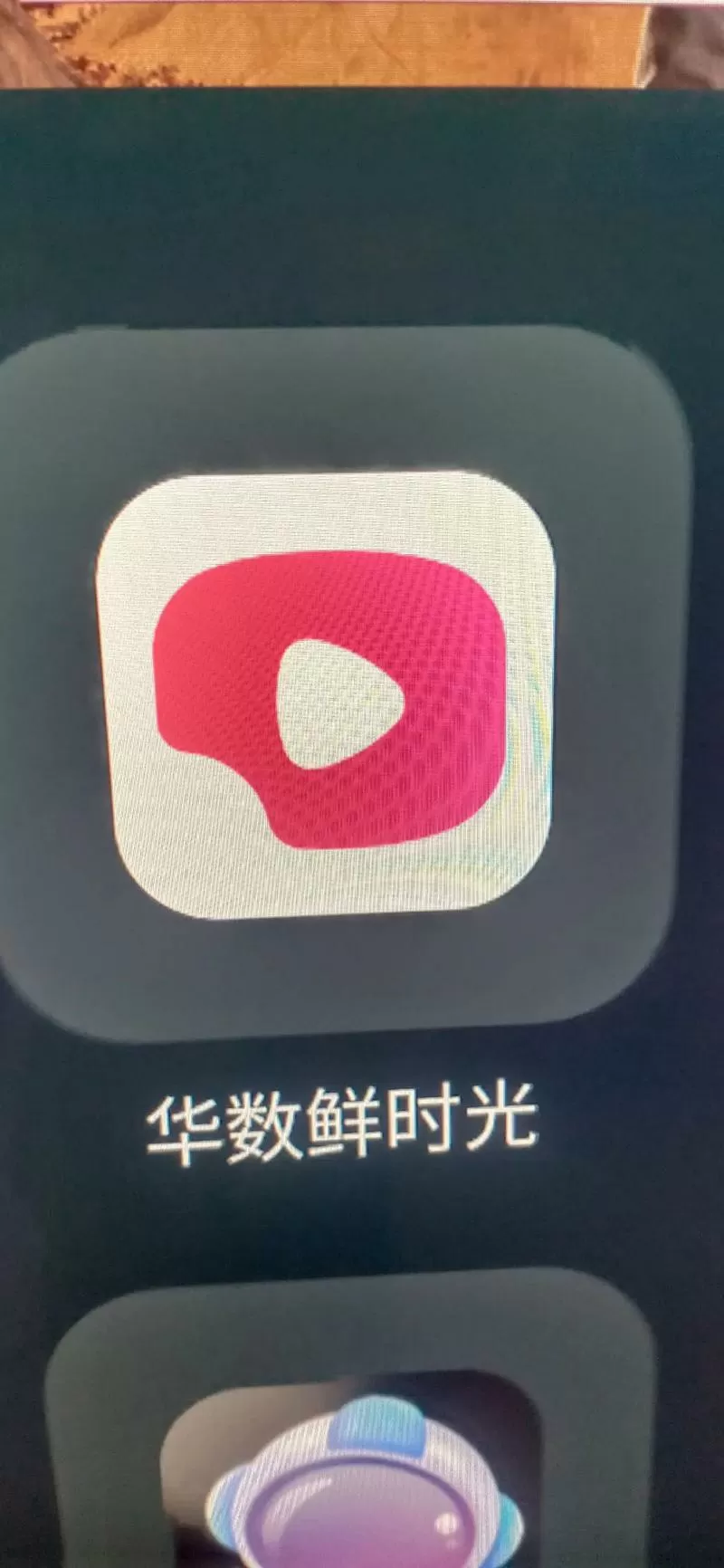 华数鲜时光手机版下载图标
