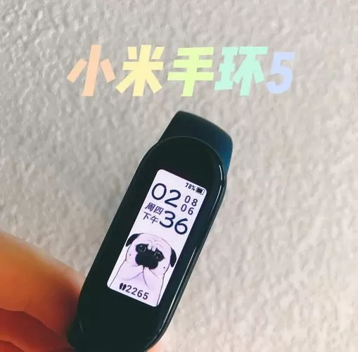 小米手环5刷第三方固件截图