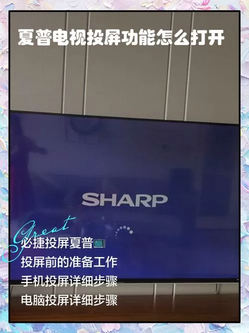 夏讯王牌电视投屏步骤截图
