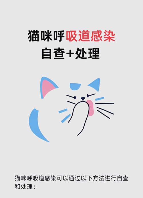 猫咪鼻塞怎么办图标