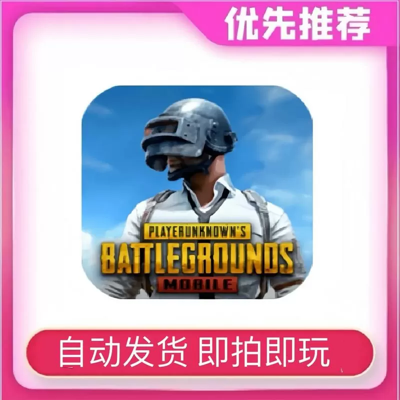 PUBG体验服国体直装无需卡密图标