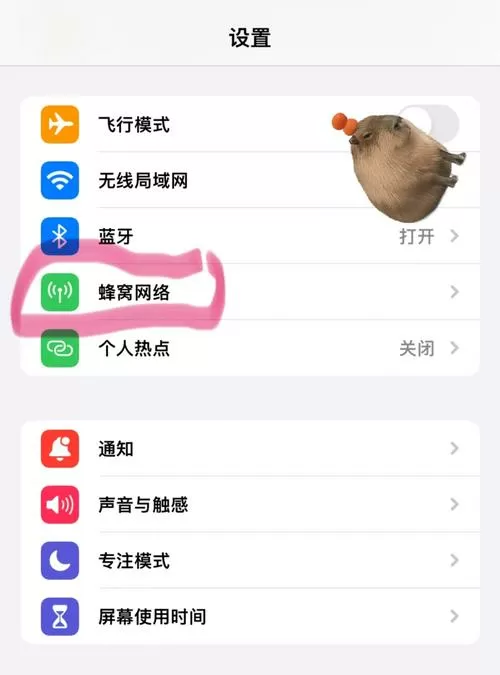 苹果怎么看流量剩余