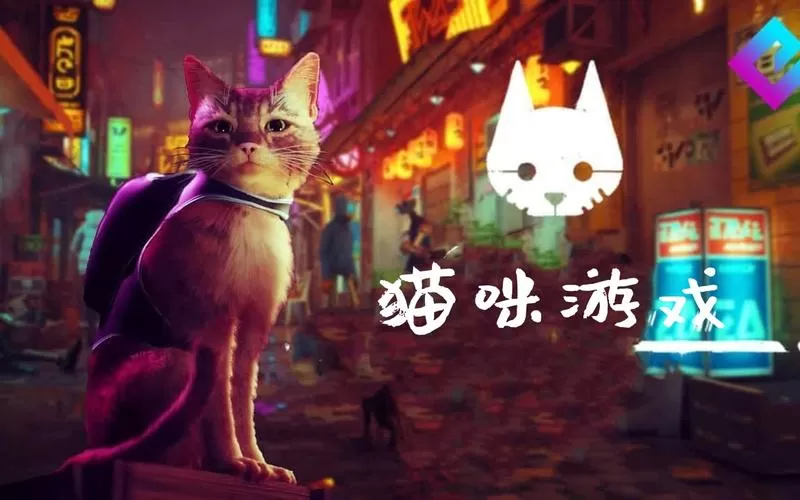 my cat猫咪游戏图标