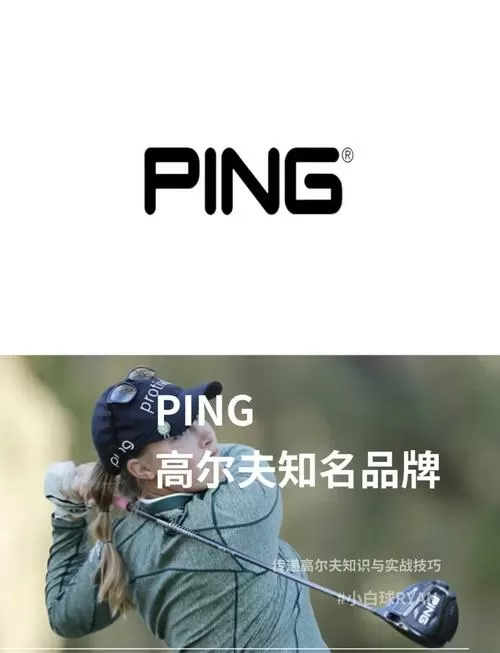 ping 网站