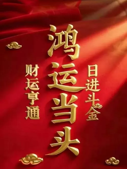 有谁领过鸿发年年的分红吗图标
