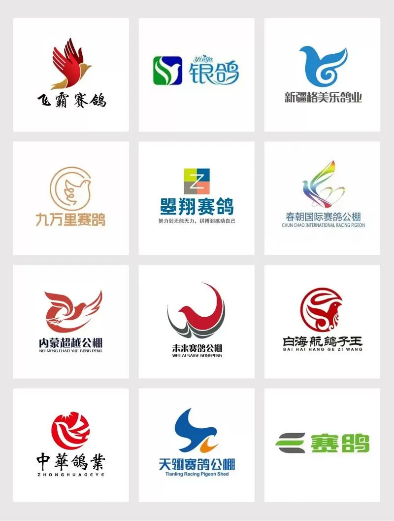 云飞赛鸽赛事直播图标