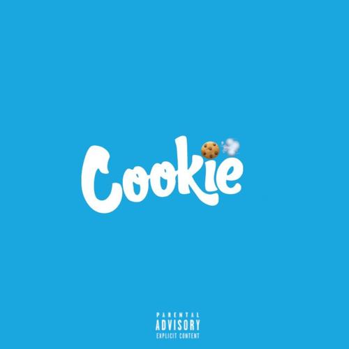 cookie使用方法图标