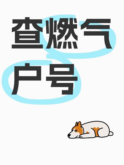 燃气费缴费户号在哪看图标