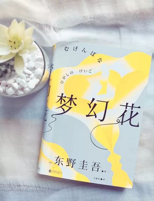 梦幻花小说免费阅读图标