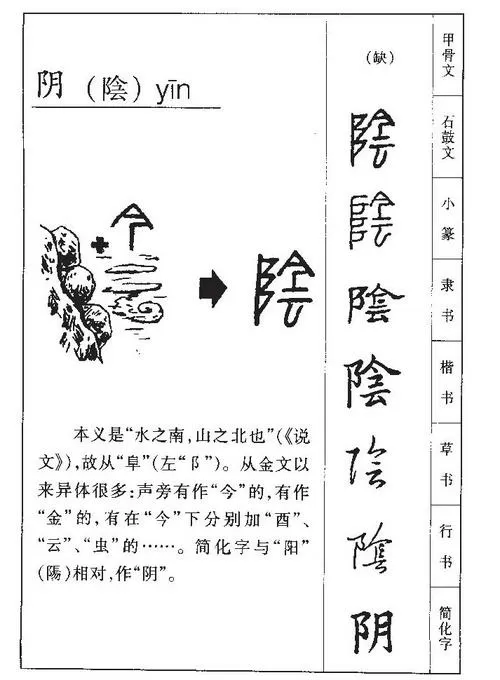 阴的部首和结构截图