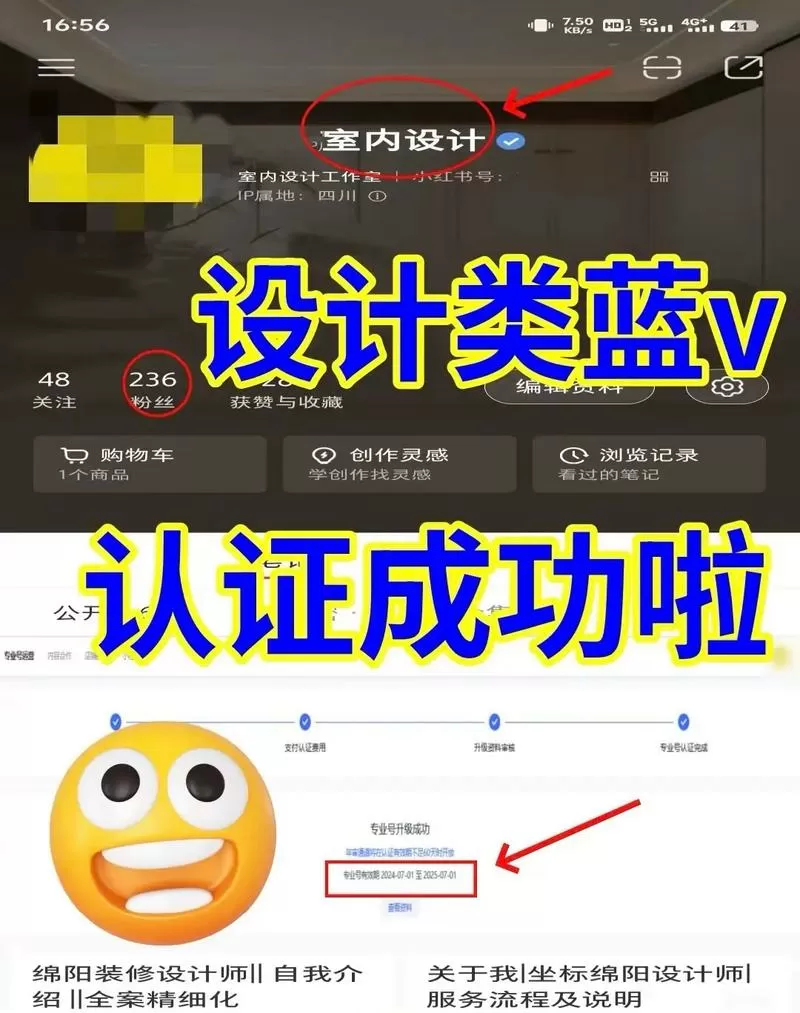 蓝v怎么赚钱图标