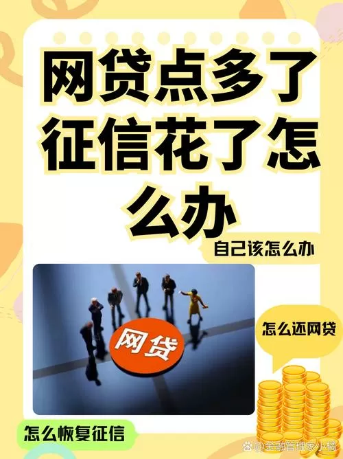 征信花了五家网贷还不上怎么办图标