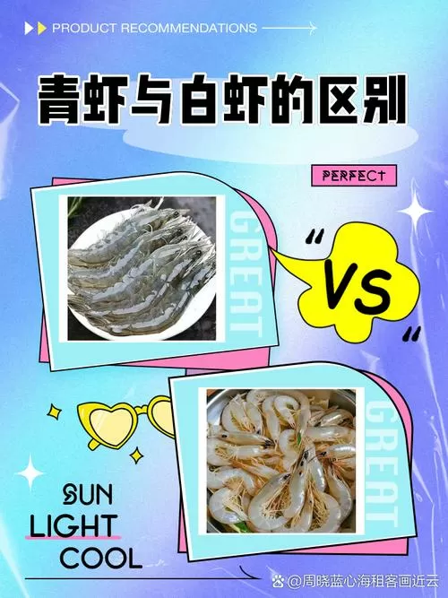 青岛大虾和白虾的区别