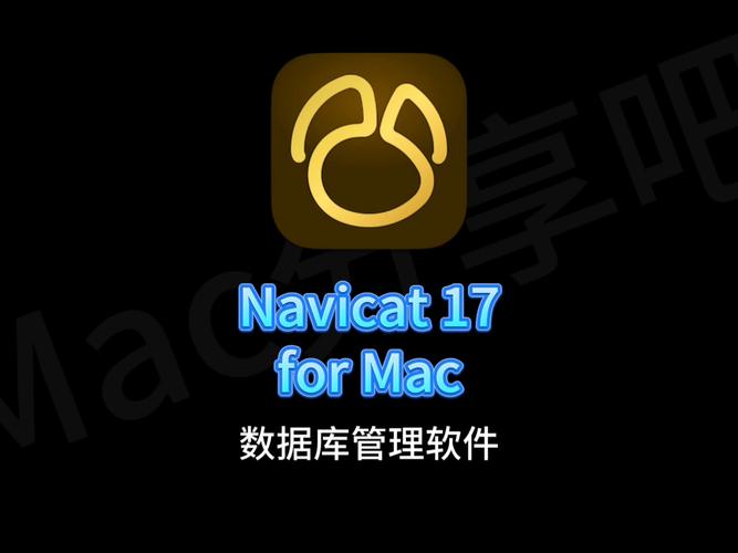 数据库连接工具截图