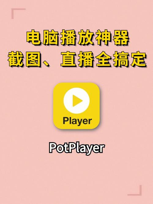 potplayer粉色版本图标