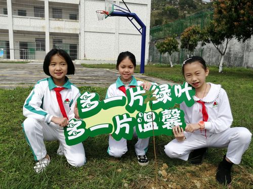 E站绿色版本不用谢我是雷锋